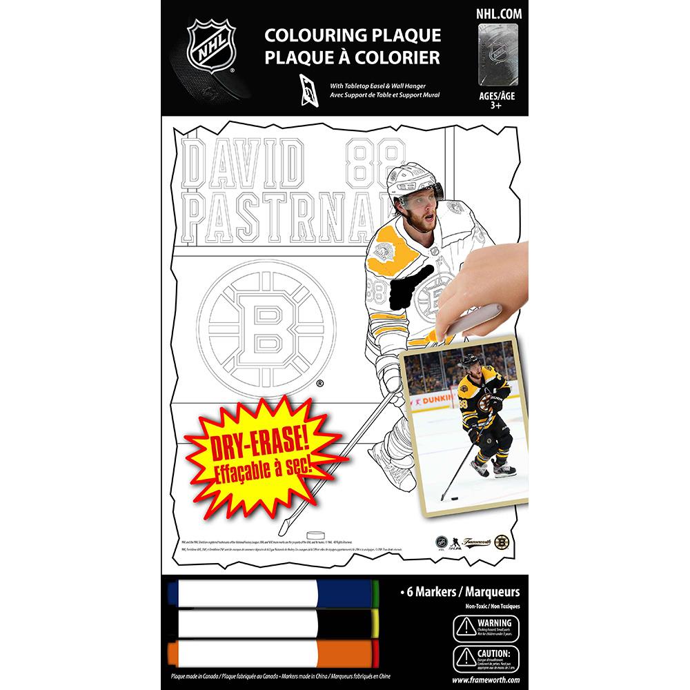 bruins coloring book